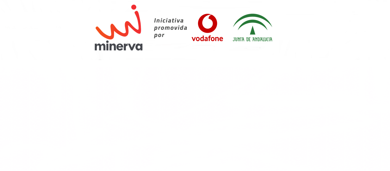 Programa Minerva: Chekin, única startup andaluza en el Tourism Startup ...