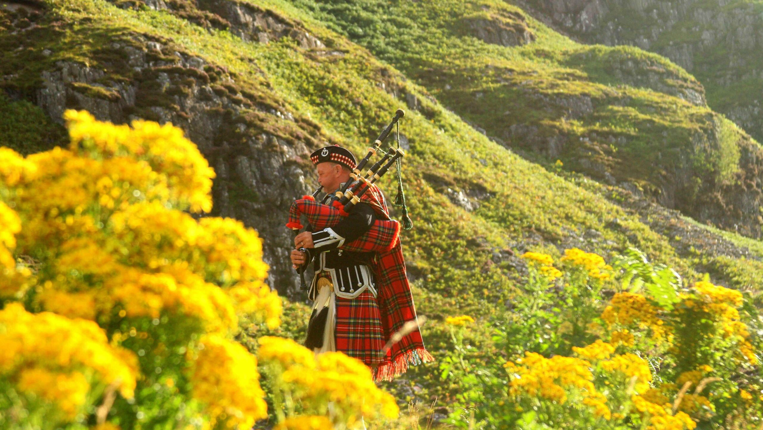 Mastering Short-Term Let Licensing in Scotland for 2025 - Chekin